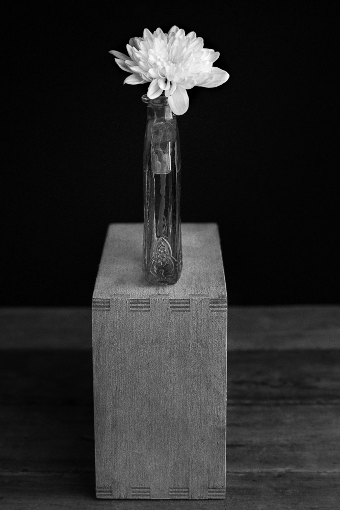 Black And White Still Life Photography » By Ian Barber